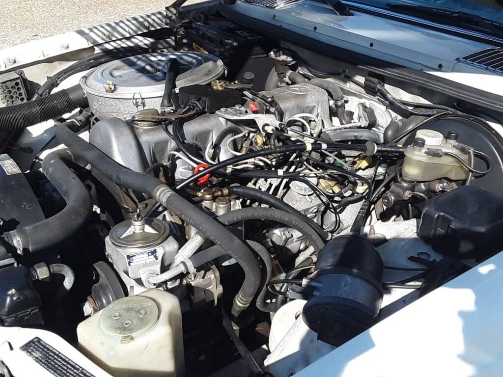 Classic White 1981 Mercedes-Benz 300D with 84k Miles - Klipnik